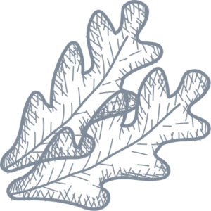 Zalqa Restaurant | Arabic Restaurant